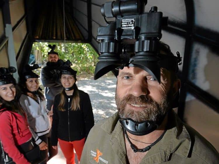 Night Vision Tour Team Building Activities in Queensland